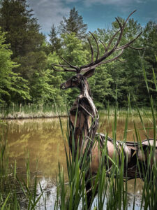 21 Fun Things to Do in Stevens Point Wisconsin for 2025