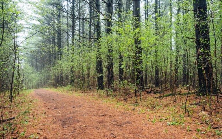Backpacking Wisconsin: 25 Trails To Hike In 2025 - Wandering Michigan ...