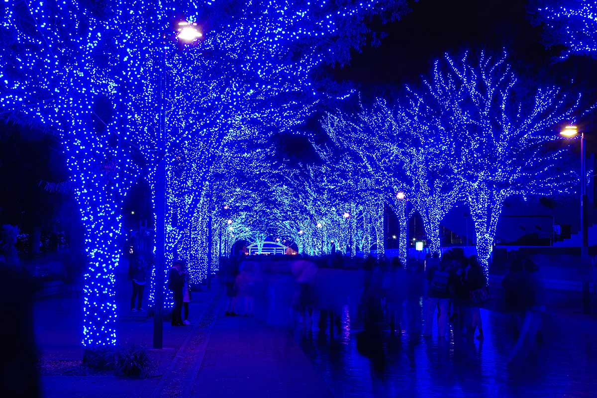 10 Best Places To See Christmas Lights In Madison Wisconsin (2025)