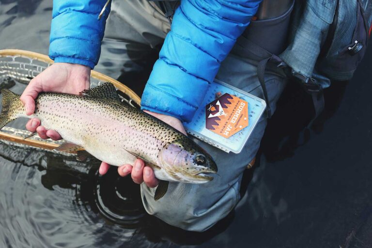 Fly Fishing Michigan Upper Peninsula: Ultimate Guide 2025 - Wandering ...